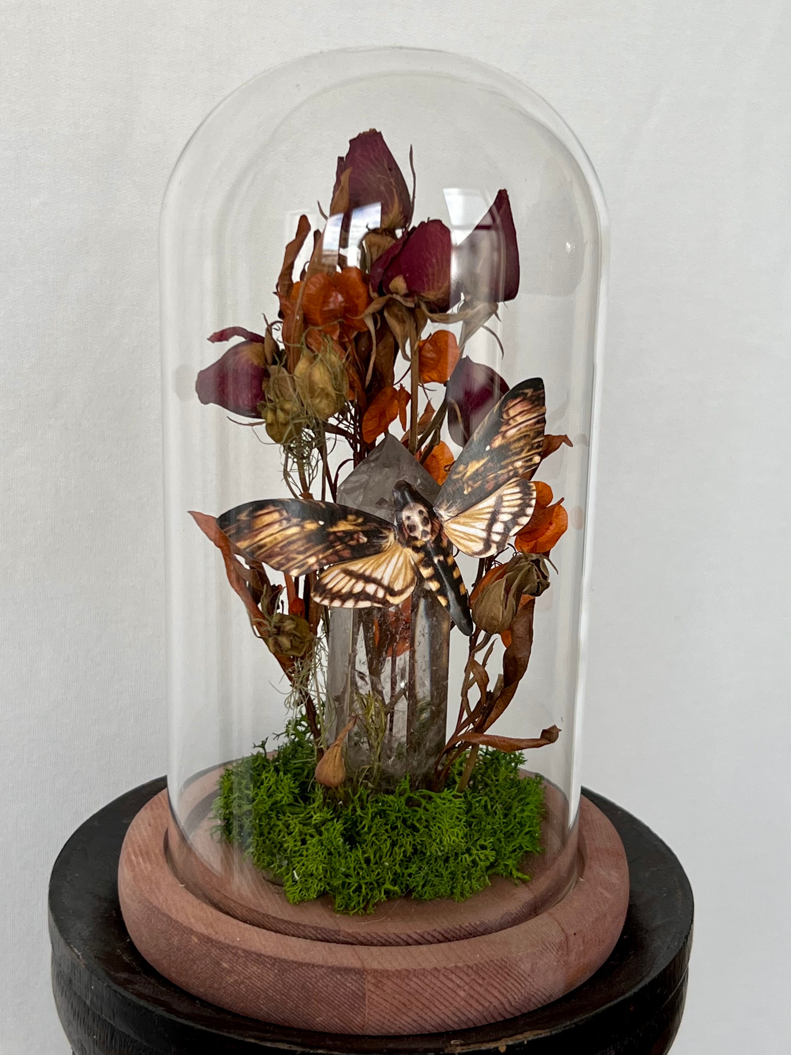 Pixie Dome - Deathhead Hawk Moth – Hazelmage